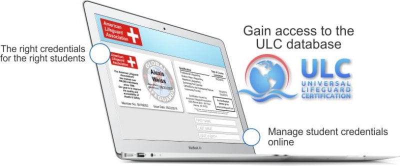 American Lifeguard Association | Lifeguard Training Certification, Classes